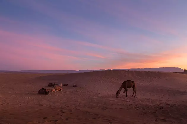 Photographing in Morocco 4384_23