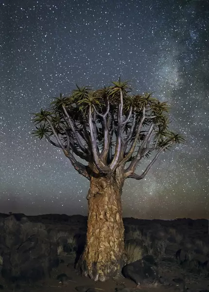 Hazo antitra sy astrophotography beth Moon 4436_14