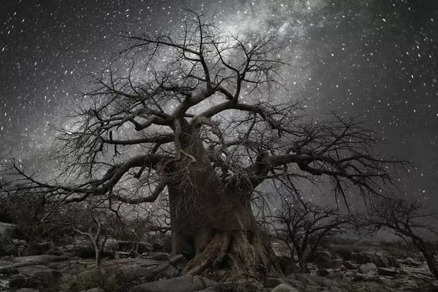 Hazo antitra sy astrophotography beth Moon 4436_6