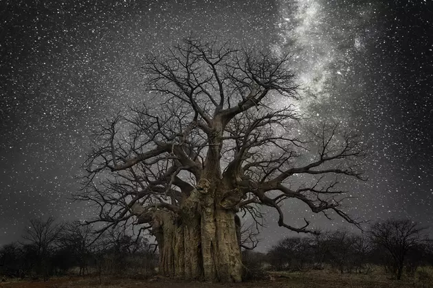 Hazo antitra sy astrophotography beth Moon 4436_9