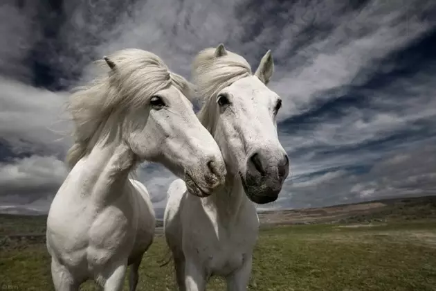 Selección de fotografías de frío y hermoso Islandia. 4581_5