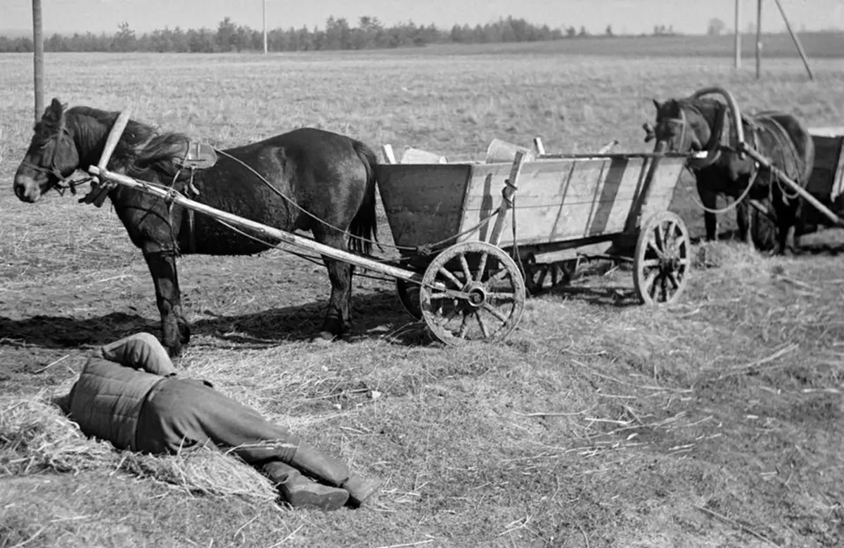 Werkt Klassieker van de Sovjet-foto van Antanasa SUTKUS 4613_20