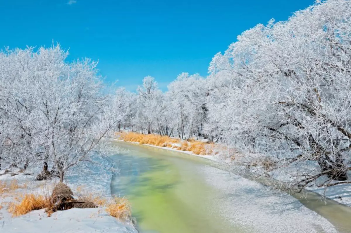 20 photos de places dans lesquelles l'hiver est particulièrement beau 4622_10