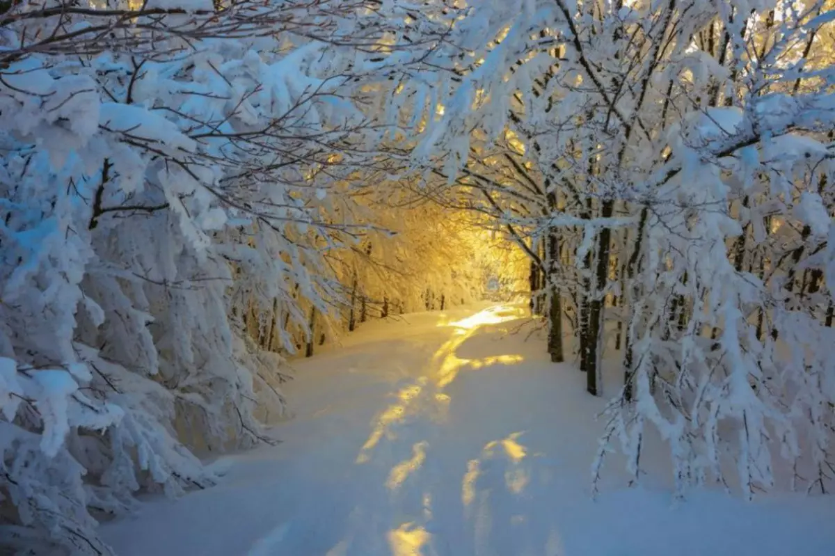 20 photos de places dans lesquelles l'hiver est particulièrement beau 4622_15