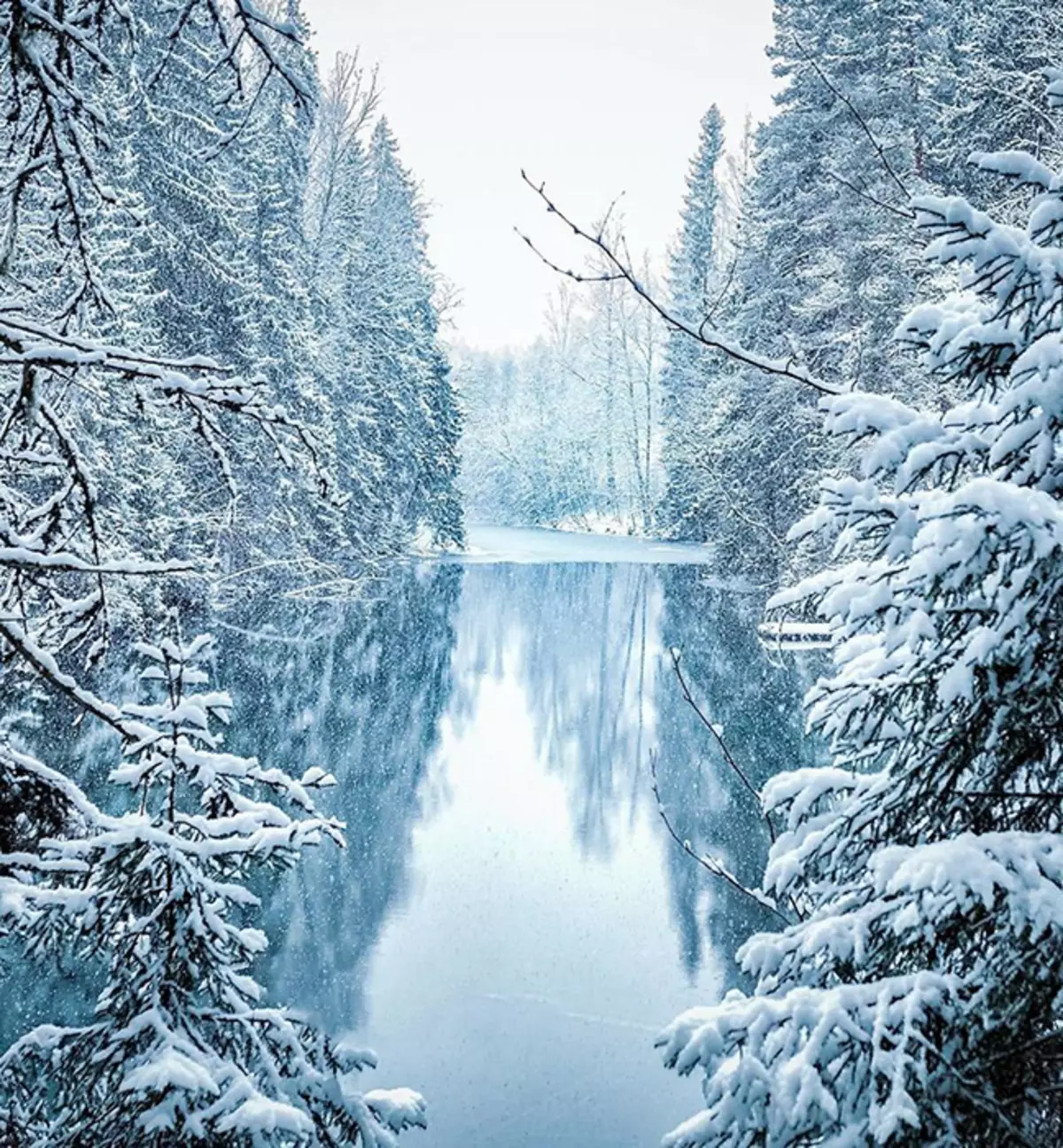 ¡El bosque de hadas es en realidad! Fotos de Assi Saarinen (Ossi Saarinen) 4772_5