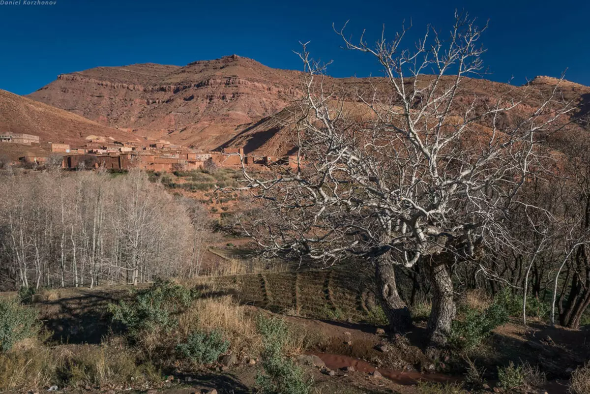 Excursie de fotografii mari la Maroc Daniel Korzhonova 4824_29