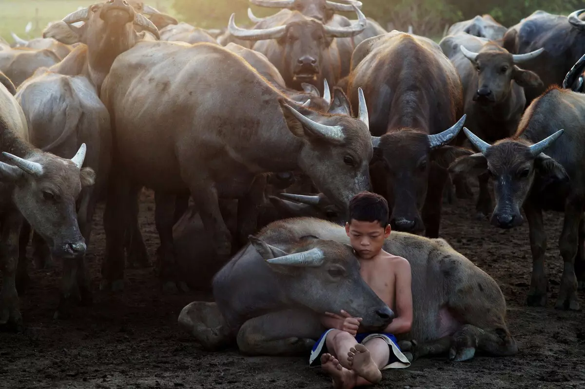 Fytyrat simpatike në veprat e fituesve Siena International Photo Awards 2018 5011_13