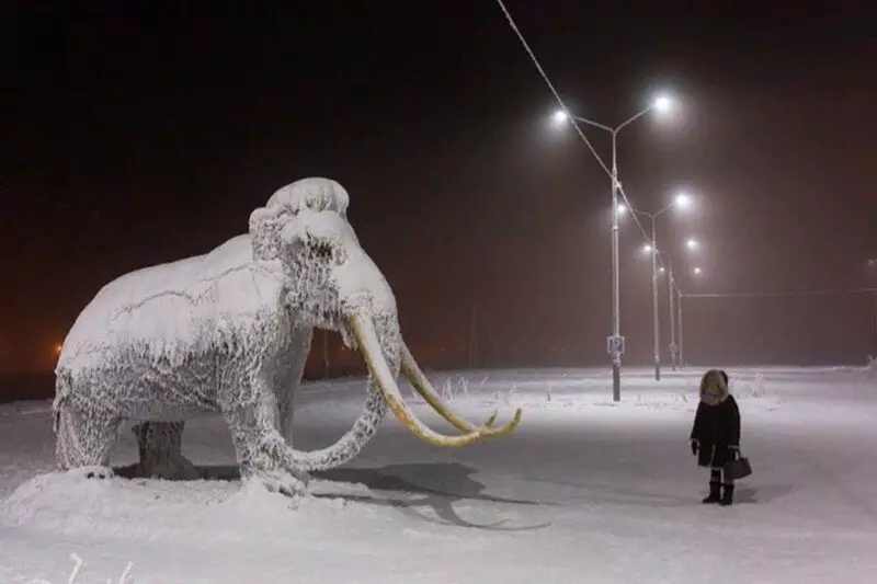 Augu Yakutia af staðbundnum ljósmyndara 503_2