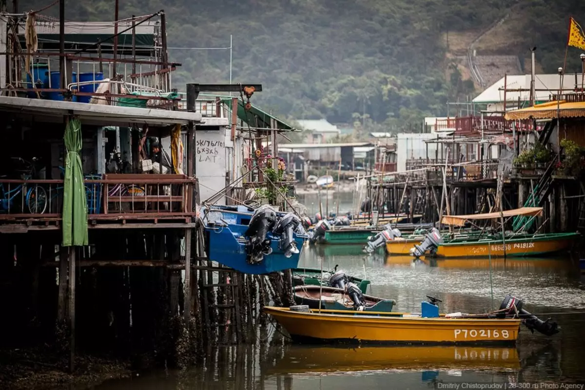 Hondoon Hong Kong: Dmitry Chistopdayva Sawirada 5065_9