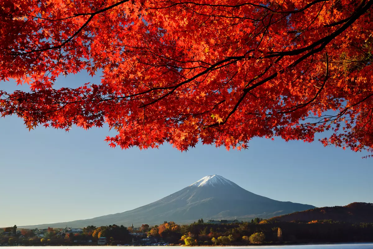 Sensualitat i perfecció: naturalesa japonesa de Takashi Pravas (Takashi Nakazawa) 5072_3