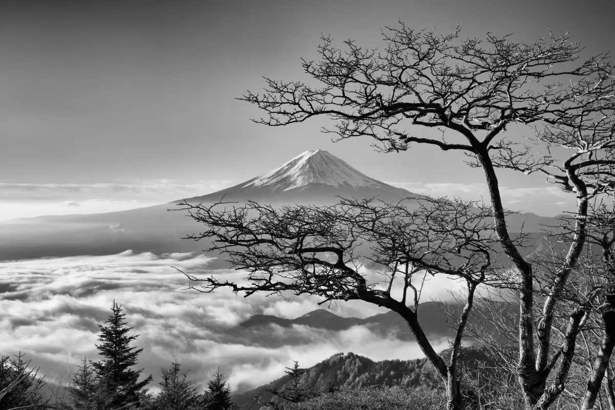 Íocadh agus foirfeacht: nádúr na Seapáine ó Takashi Pravas (Takashi Nakazawa) 5072_9