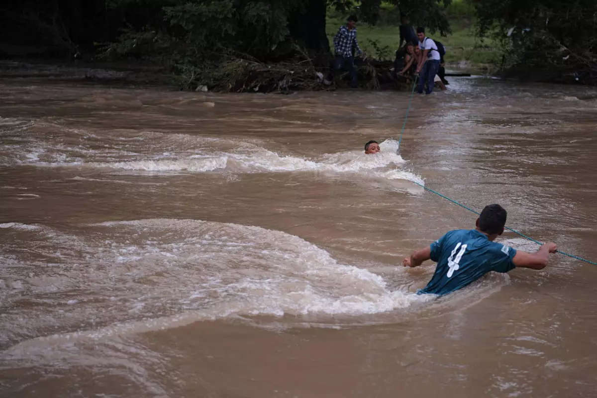 සමාජ පින්තූර: සංක්රමණික තවලම් 5076_6