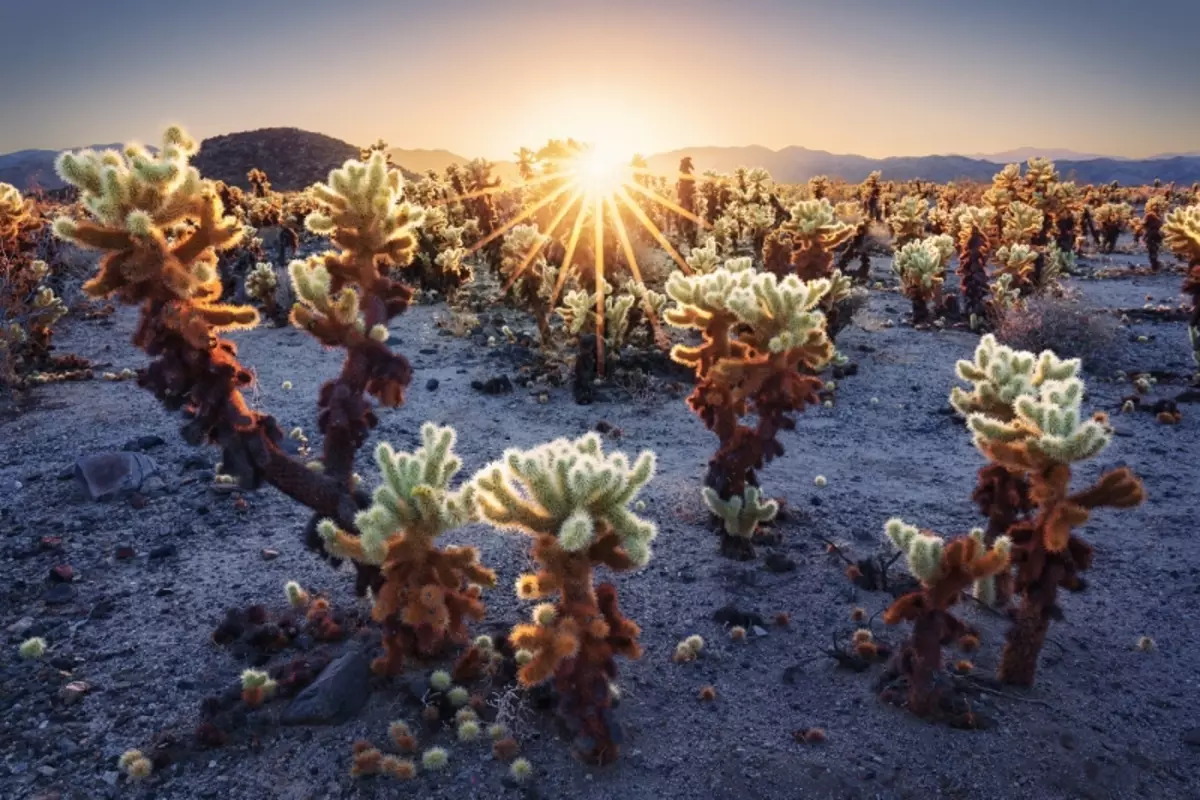 De rocas ao ceo: natureza impresionante de Lucas Furlan (Lukas Furlan) 5083_1