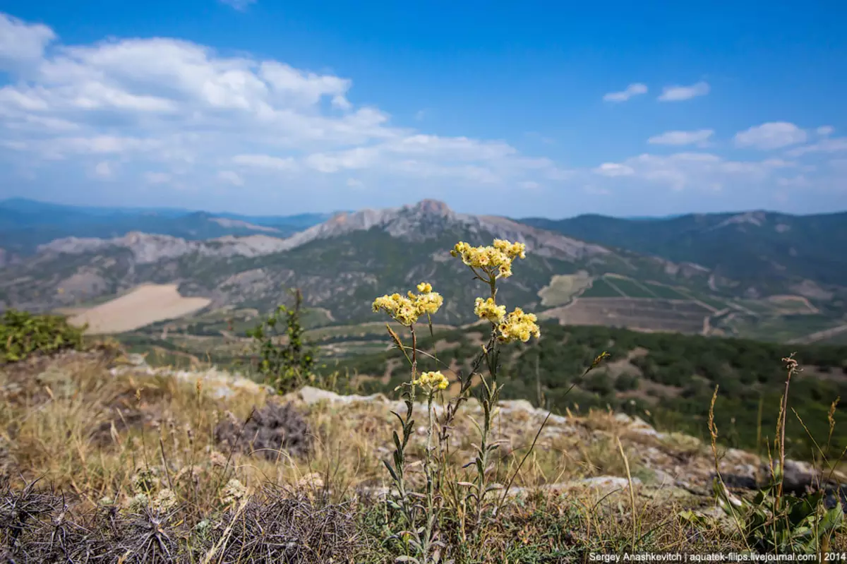 Sidès Crimea chenn nan Sergey Anashkevich 5085_11