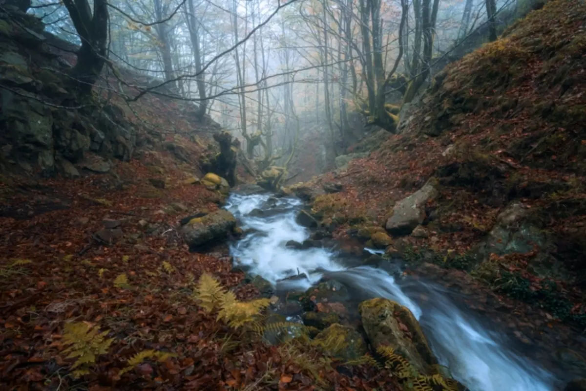 Kako izvršiti izvrsne kvalitetne jesenjim fotografijama? 5088_3