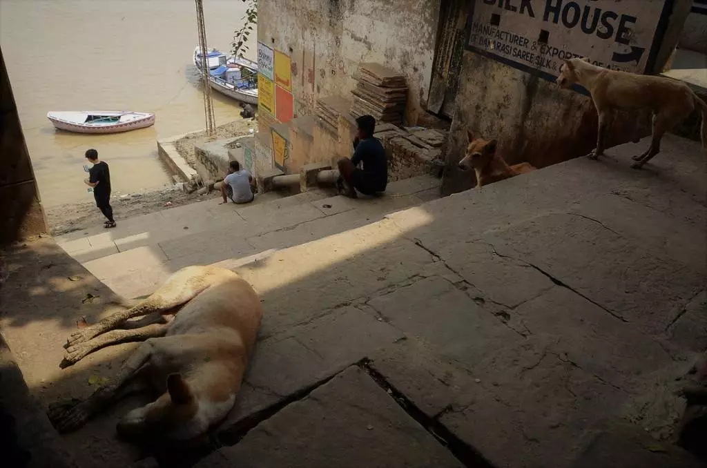 Varanasi: Crematorium City, Apokalypsa dnes. Fotograf Alexander Lapshin (Alexander Lapshin) 5125_14