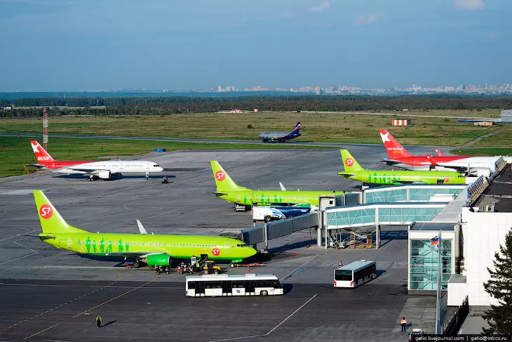 Tisíce letových kilometrů: Airlines S7 Airlines. Fotografie Glory Stepanova 5126_2