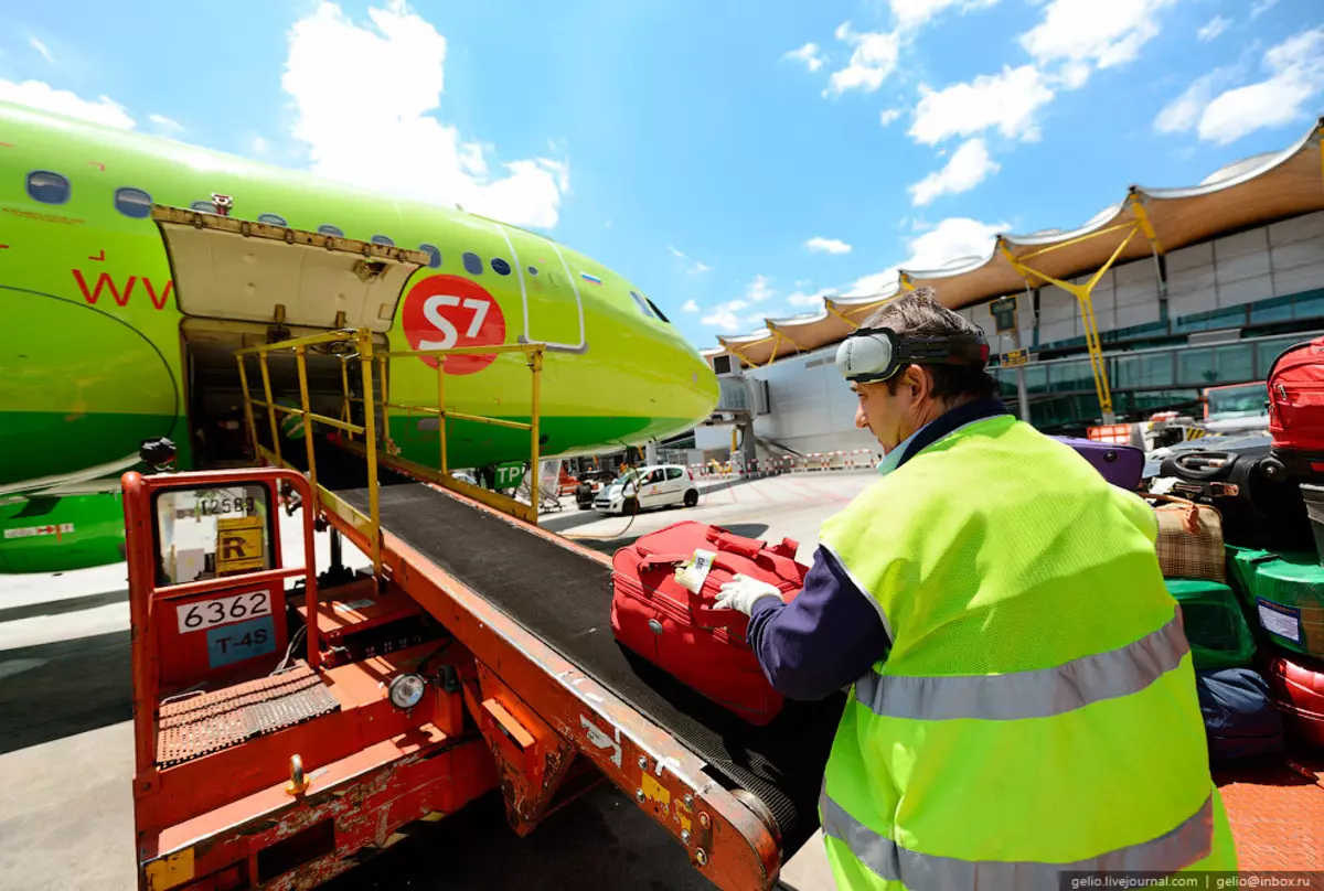 Müňlerçe uçuş kilometre golaýlygy: howa ýollarynyň s7 awiakompaniýalary. Giňi şöhraty Stefan Nammanowa 5126_25