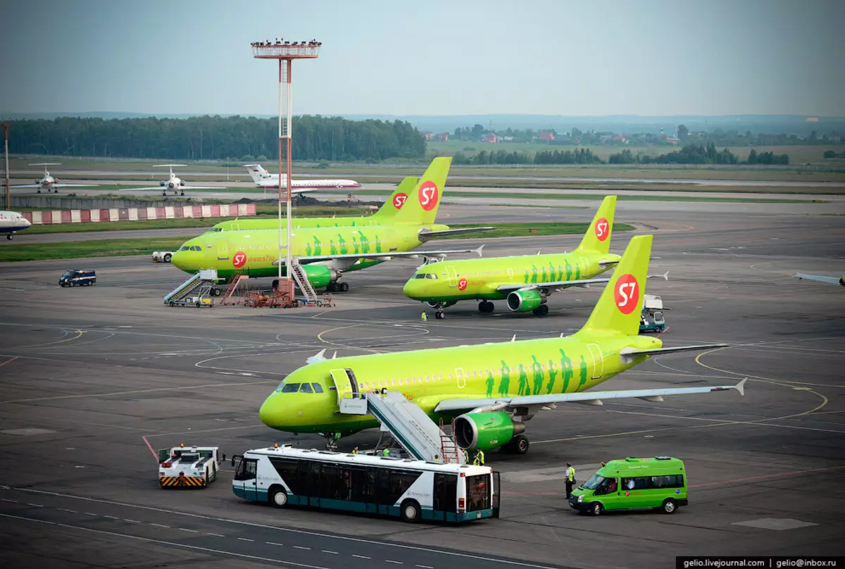 Tisíce letových kilometrů: Airlines S7 Airlines. Fotografie Glory Stepanova 5126_28