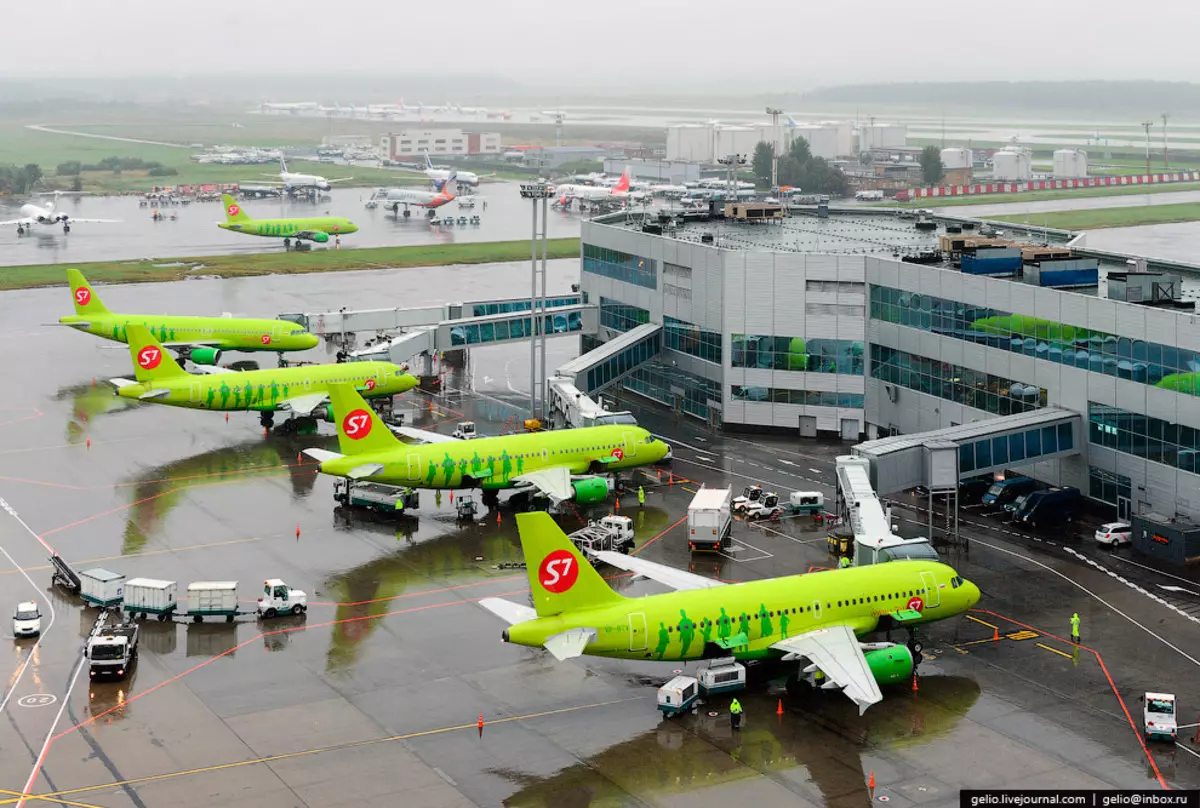 Tisíce letových kilometrů: Airlines S7 Airlines. Fotografie Glory Stepanova 5126_7