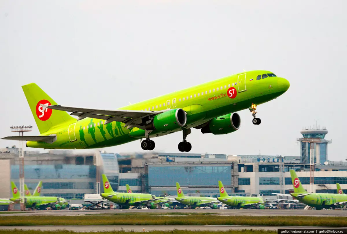 Tisíce letových kilometrů: Airlines S7 Airlines. Fotografie Glory Stepanova 5126_9