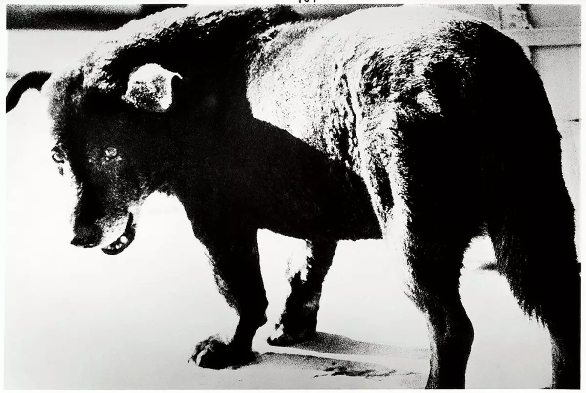 Daido moriyama: 