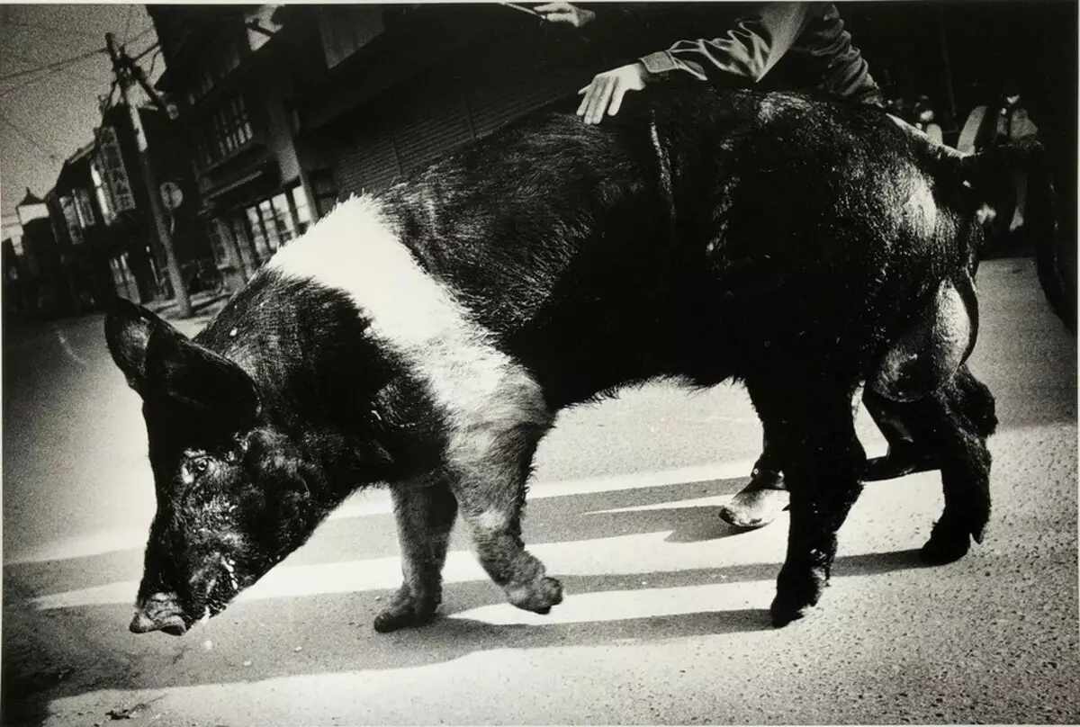 Daido moriyama: 