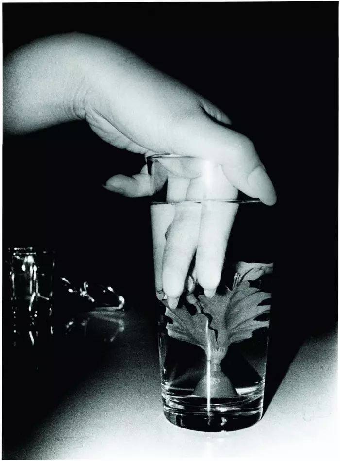 Daido moriyama: 