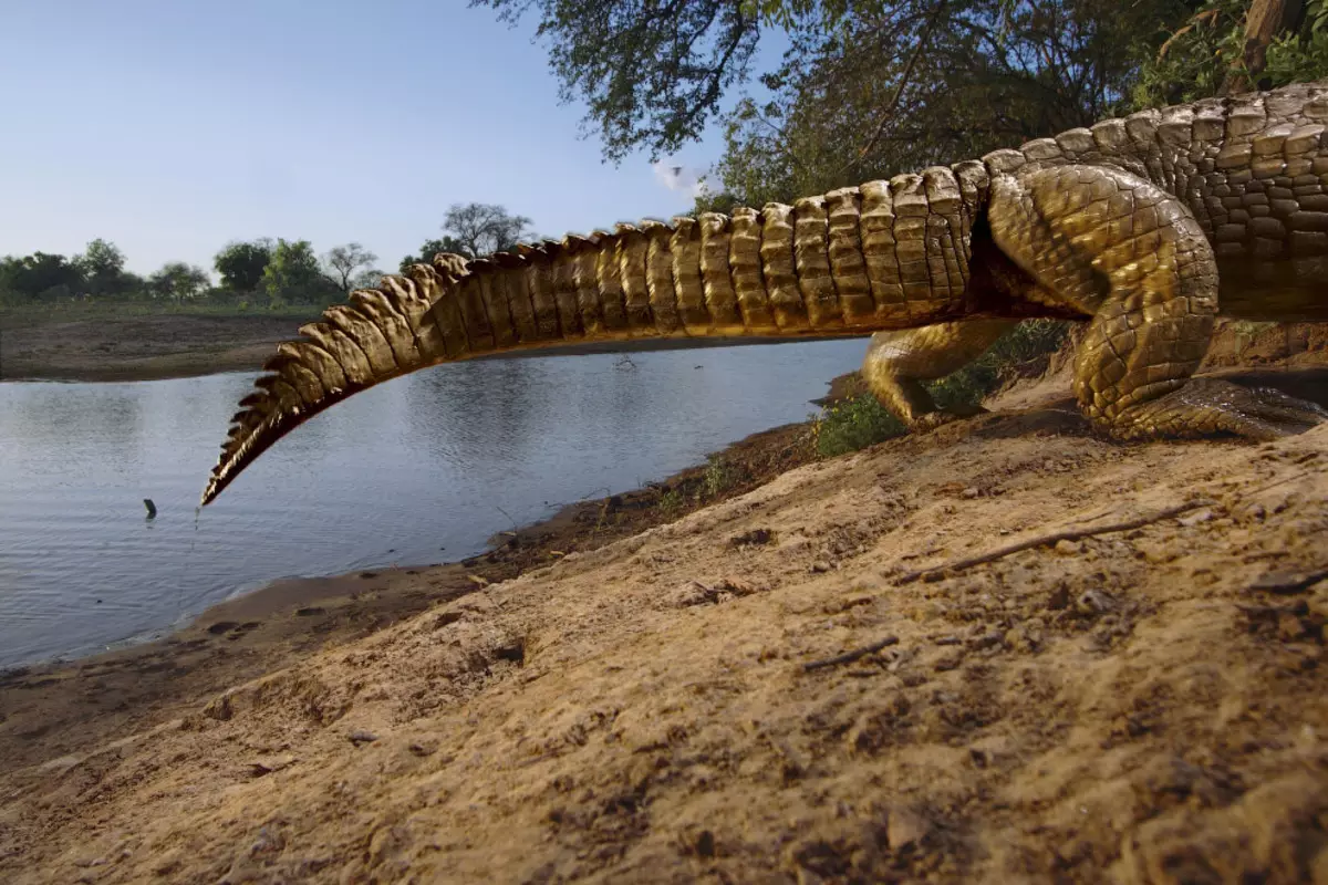 Паветра, зямля і мора: праект National Geographic 5258_11