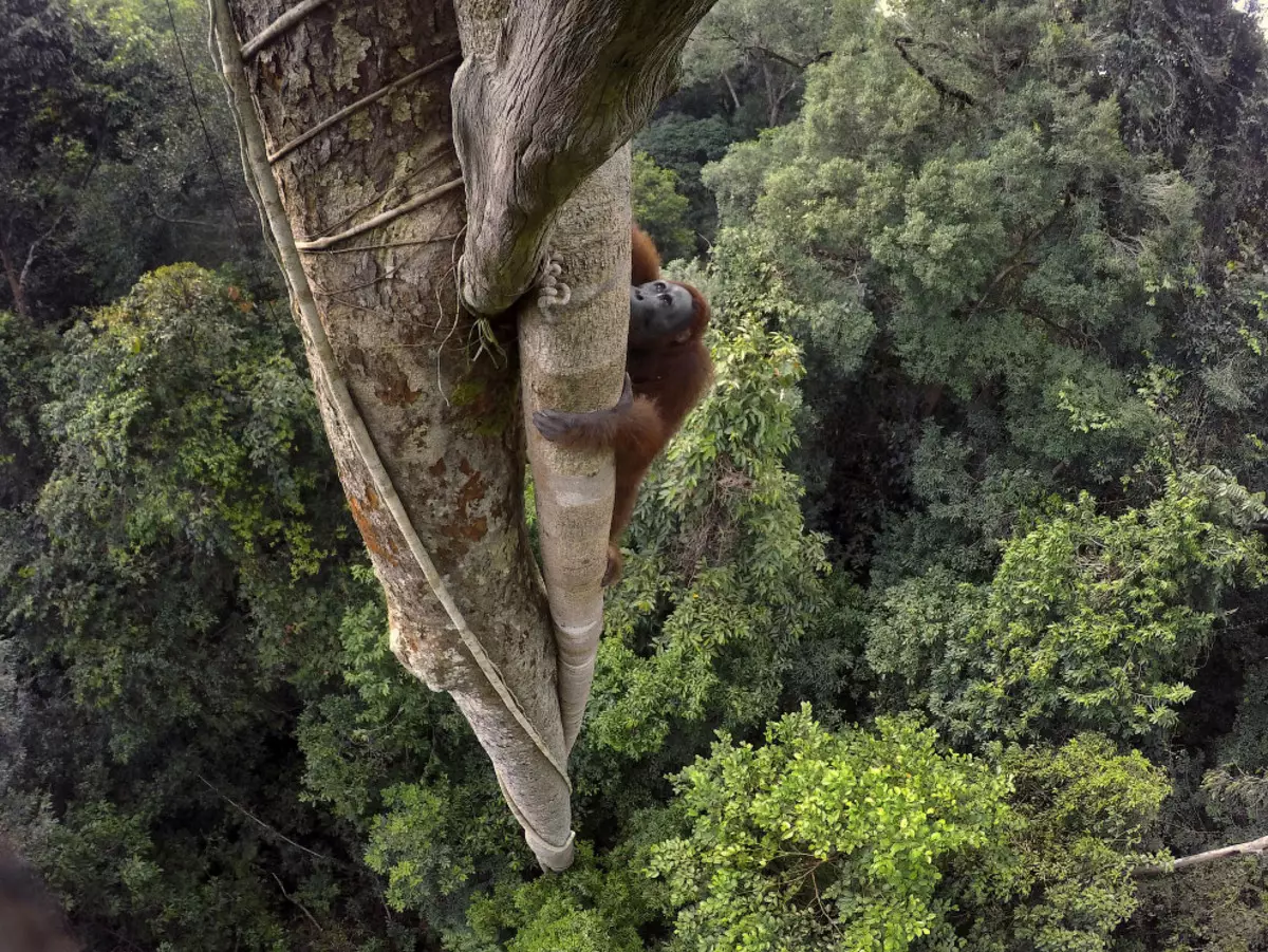 Air, Dunia na Bahari: Mradi wa Taifa wa Geographic. 5258_4