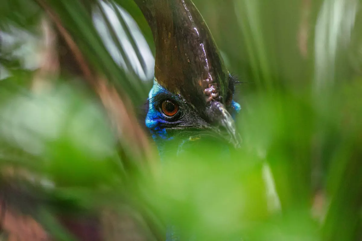 Air, Dunia na Bahari: Mradi wa Taifa wa Geographic. 5258_5