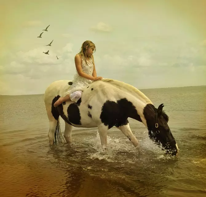 Fantastisks PhotoFrom Tom Chambers (Tom Chambers) 5273_12