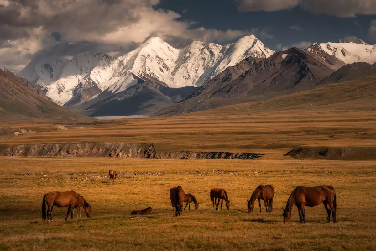 Crazy nga katahum sa Kyrgyzstan gikan sa Albert Dros (Albert Dros) 5306_1