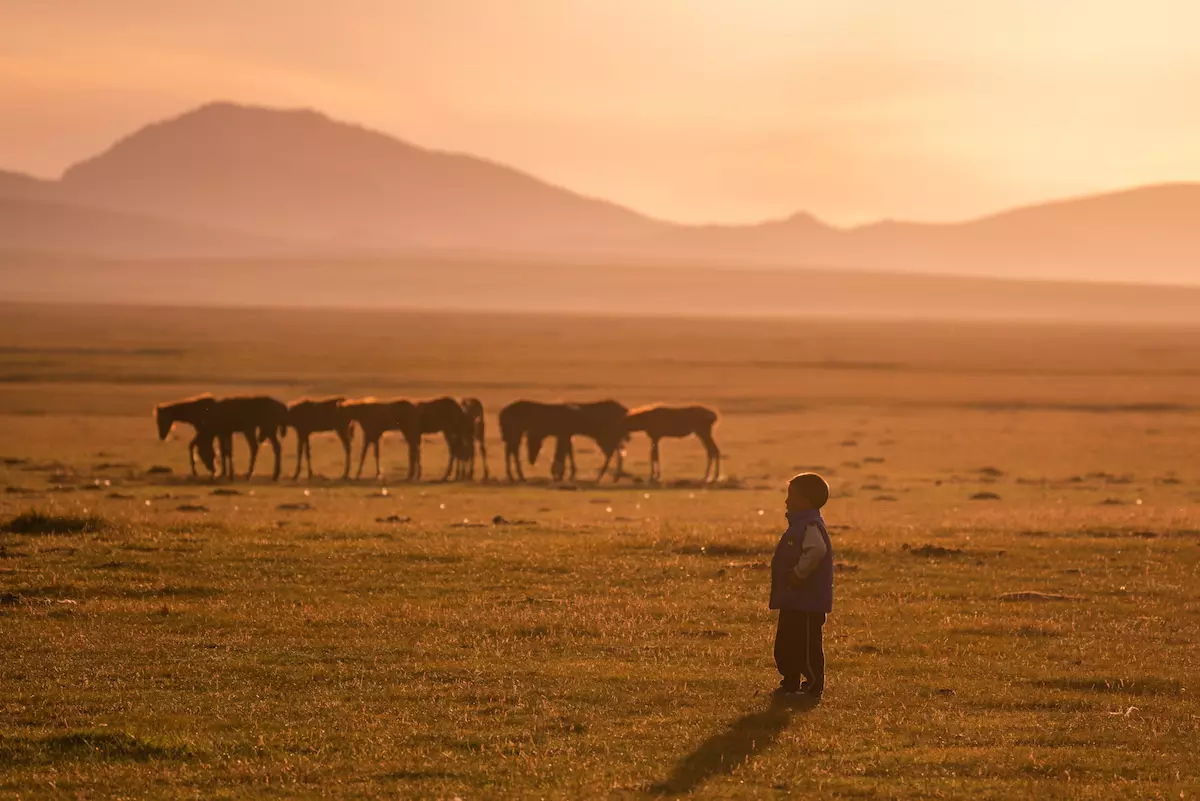 Crazy nga katahum sa Kyrgyzstan gikan sa Albert Dros (Albert Dros) 5306_19