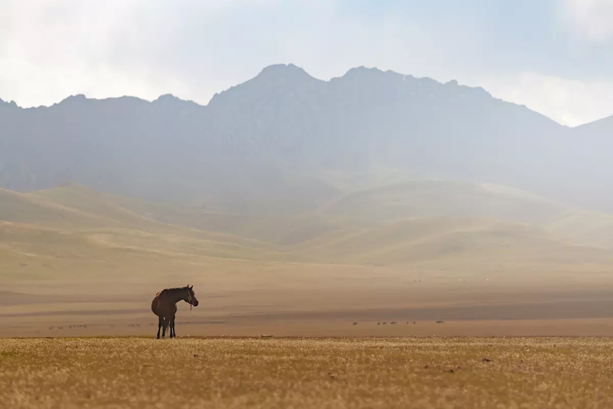 Mga Landscapes sa Kyrgyzstan, nag-uyog sa Dutch Photographer Albert Pota 23