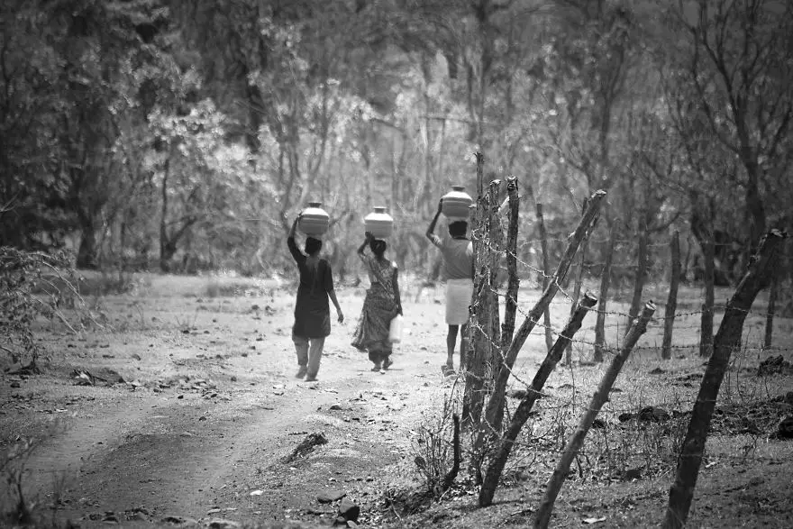 ඉන්දියාවේ බාර්හත්රnur හි ජීවිතය. ඡායාරූප ශිල්පී ෆාරන් වින්නි ​​(තාරන් විනී) 5311_10