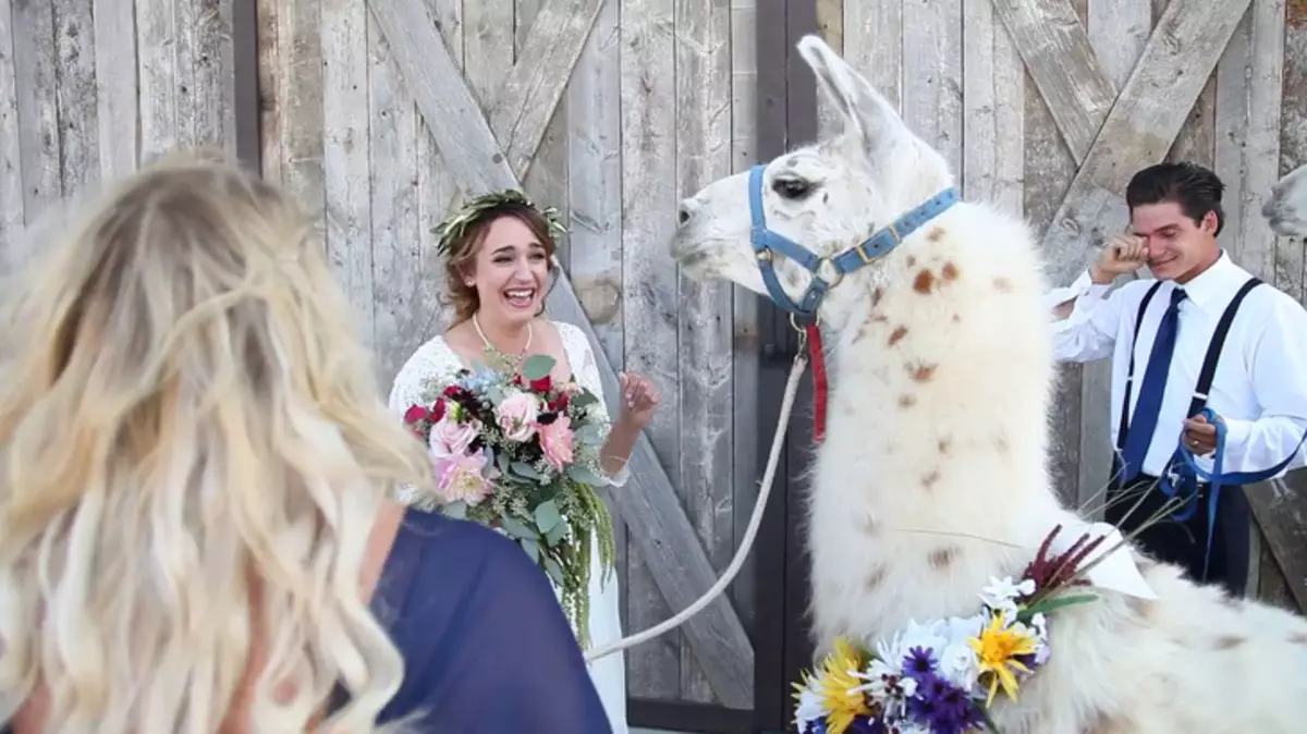 Bridesmaids nuotraukos, kurios toli gražu nėra idealios 5367_6