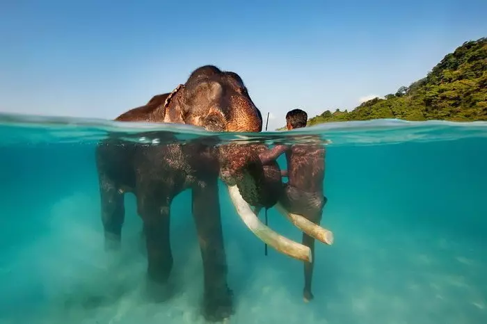 ලෝක දෙකක අද්දර