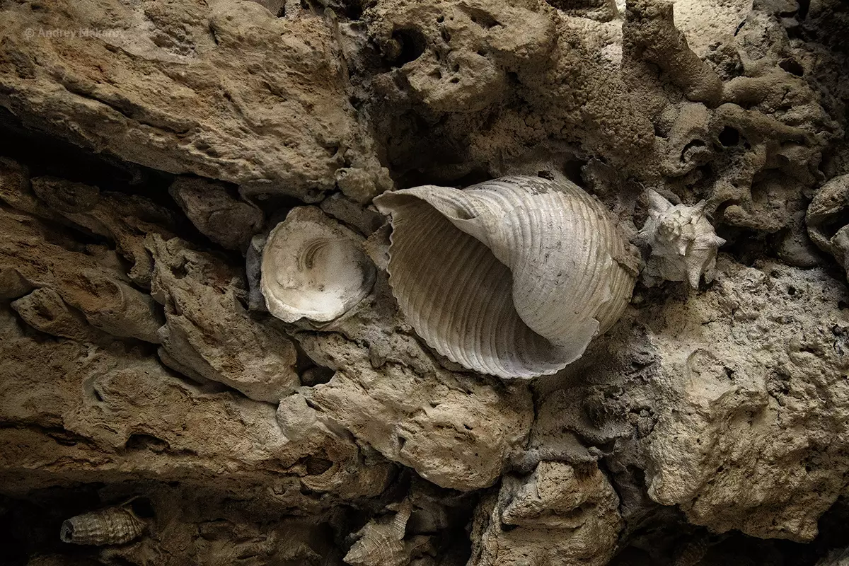 Florència: la gruta de BuoTenty a Andrei Makarova Lens 5465_9