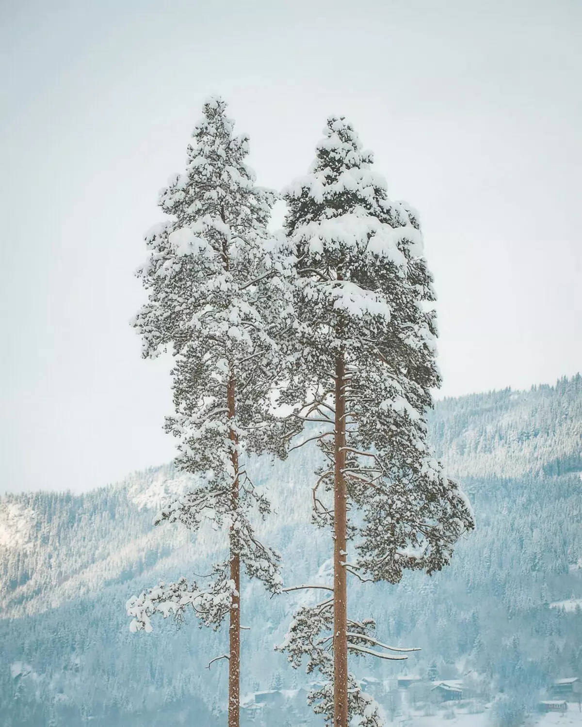 Norwegia: Sihir Tenang di Sebastian Dietcstra Foto Landscape (Sebastian Dijkstra) 5478_18