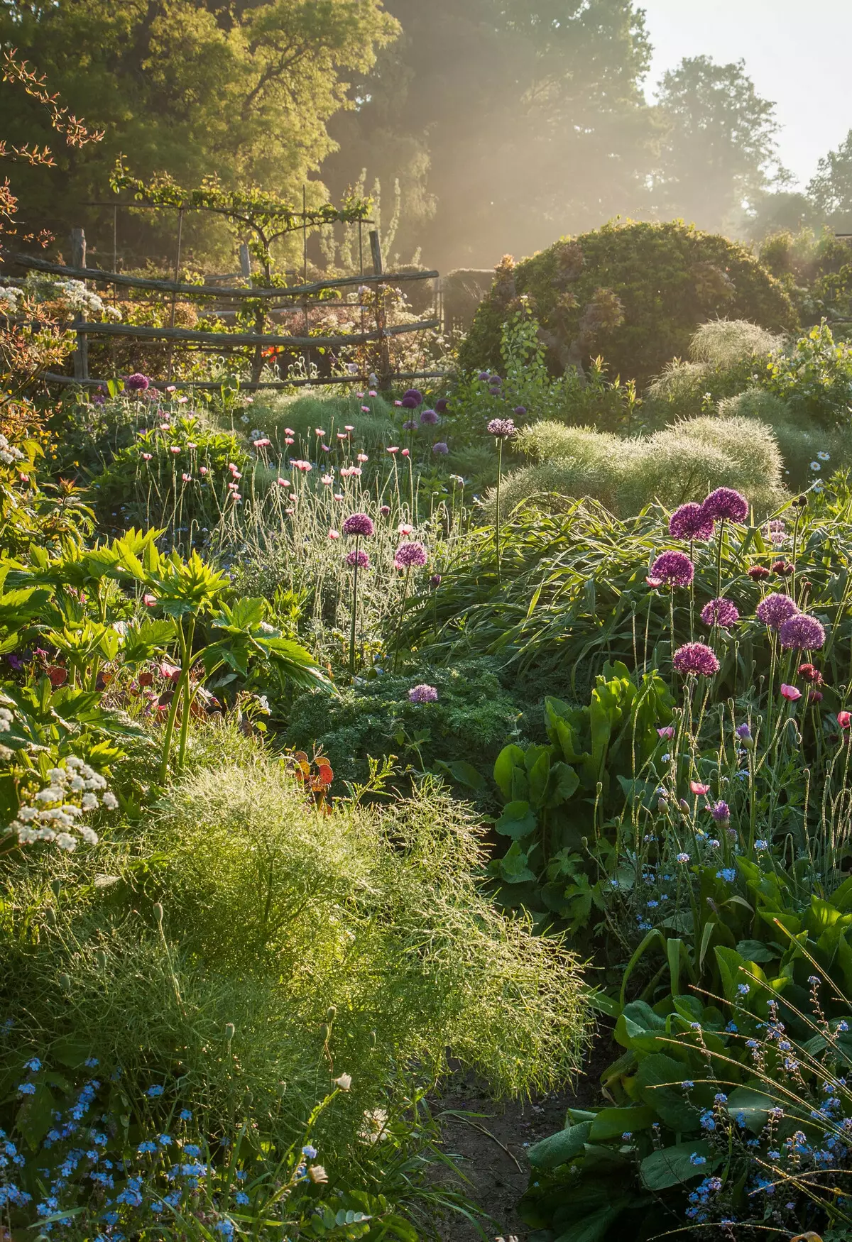 Câștigători ai concursului de fotografie botanică Fotograful internațional de grădină al anului 2018 5531_15