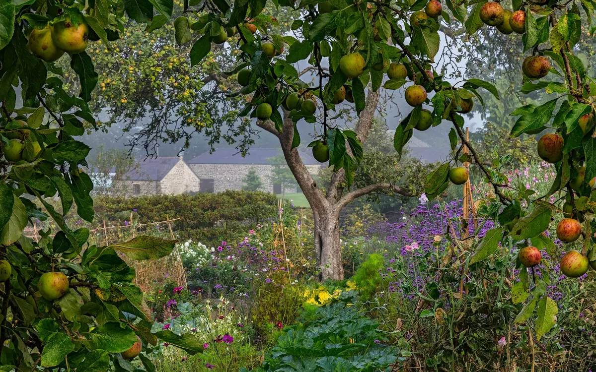 Gewënner vun der botanescher Fotografie Konkurrenz International Gaart Fotograf vum Joer 2018 5531_7