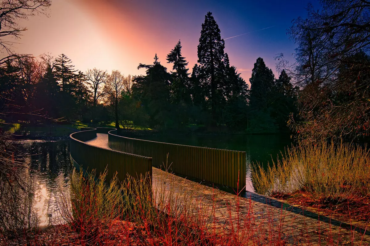 Winnaars van de botanische fotografiecompetitie Internationale tuinfotograaf van het jaar 2018 5531_8