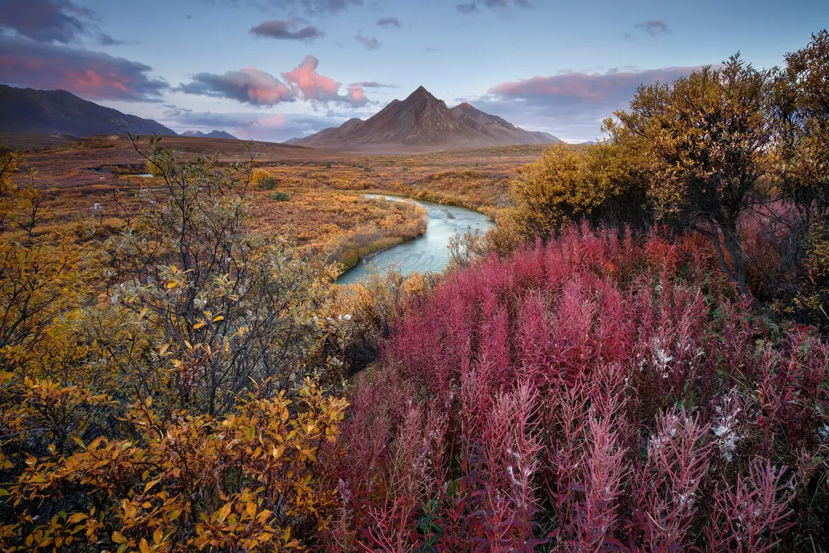 Winners fan 'e Botanical Photography Competition International Garden Fotograaf fan it jier 2018 5531_9