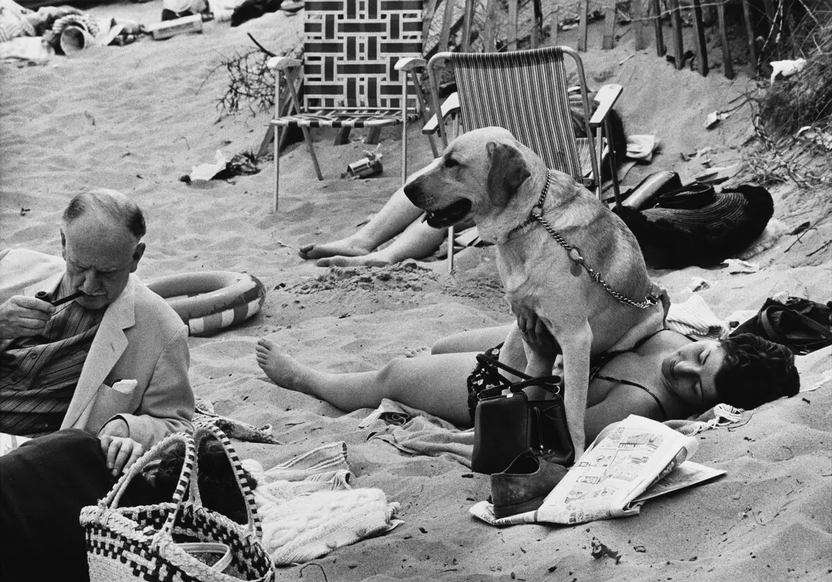 Fascino di Glums of England in fotografie Shirley Baker (Shirley Baker) 60s 5562_17