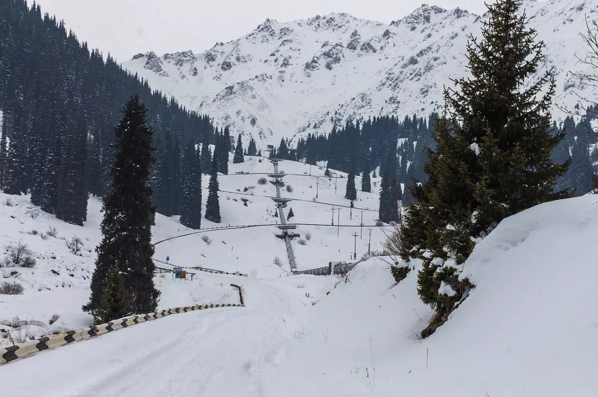 Je, ni nzuri sana na ya kuvutia katika Alma-ATA? Safari ya Picha ya Snow kwa Yuri Rybina. 5603_21