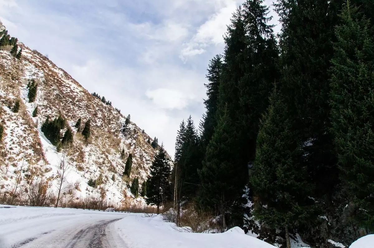 Je, ni nzuri sana na ya kuvutia katika Alma-ATA? Safari ya Picha ya Snow kwa Yuri Rybina. 5603_4