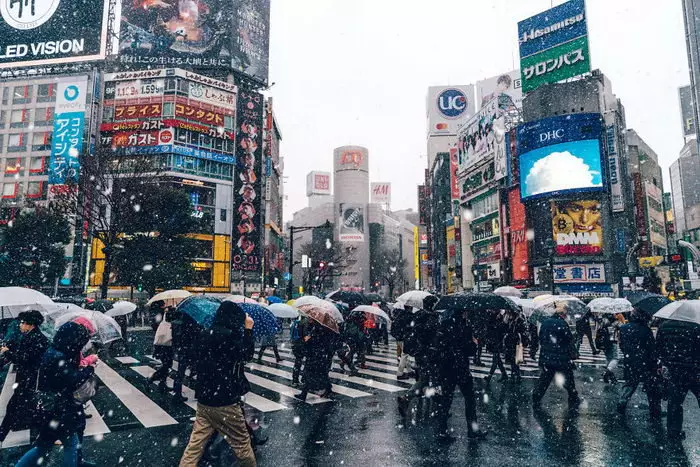 Phénomène météorologique rare pour le Japon: Tokyo couvert de neige sur les photos de Yuichi Yokota (Yuichi Yokota) 5626_10