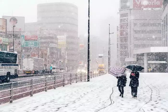 Հազվագյուտ եղանակի երեւույթ Japan ապոնիայի համար. Ձյունածածկ Տոկիոն Yuichi Yokota (Yuichi Yokota) լուսանկարներում 5626_13