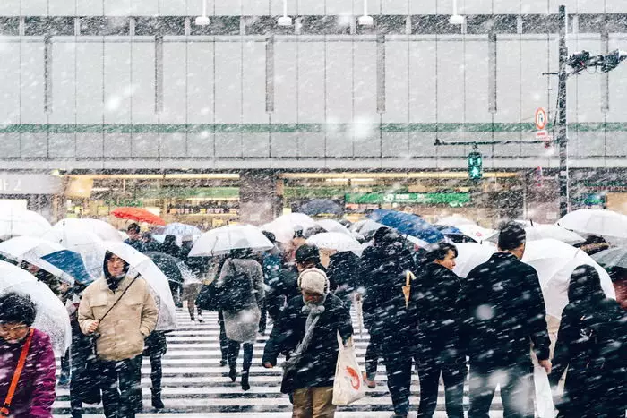 Phénomène météorologique rare pour le Japon: Tokyo couvert de neige sur les photos de Yuichi Yokota (Yuichi Yokota) 5626_18